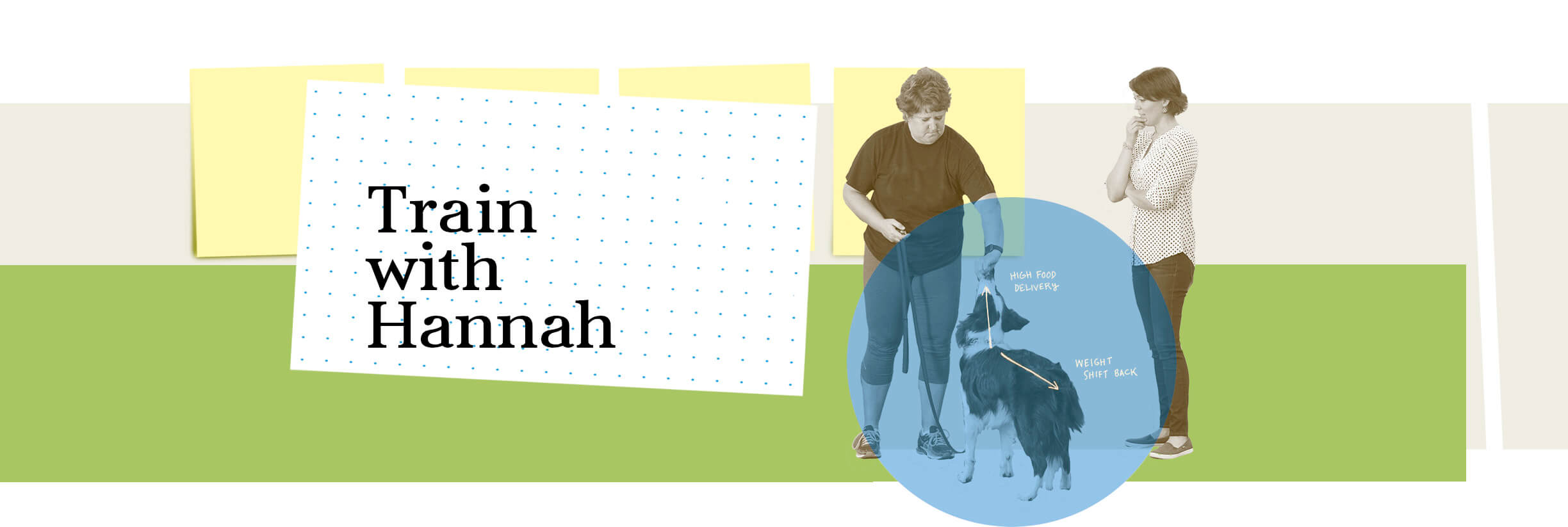 Train With Hannah | Hannah Branigan – Wonderpups Training